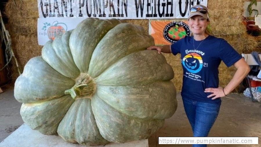 Giant Squash Statistics and Grower Resource