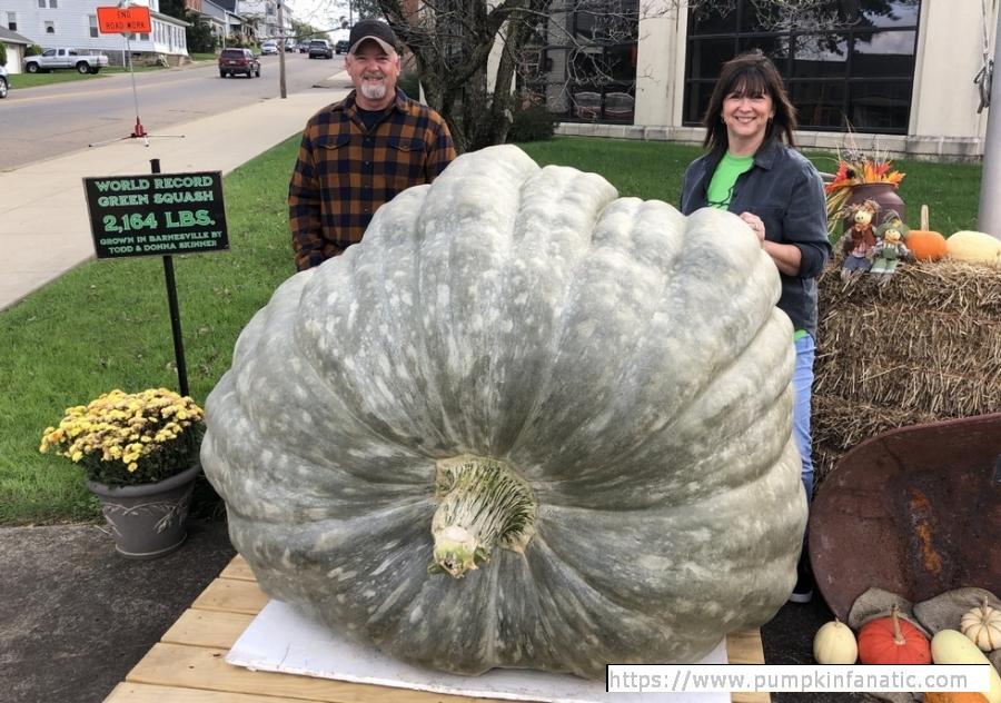 Giant Squash Statistics and Grower Resource